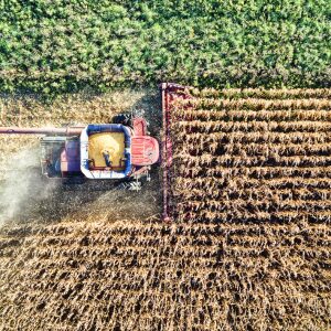 2026 Ag Outlook: What Community Banks Need to Watch Now - Bankers' Bank
